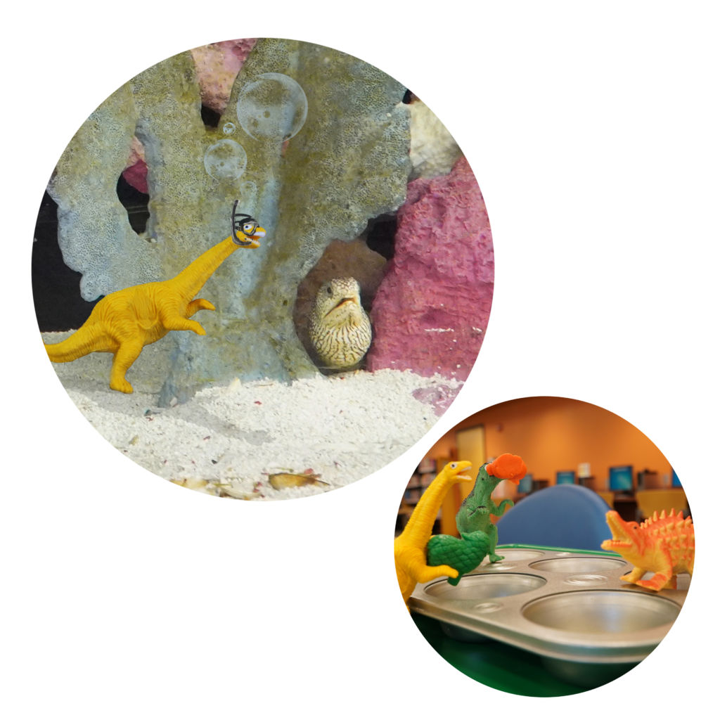 Dinovember – Algonquin Area Public Library